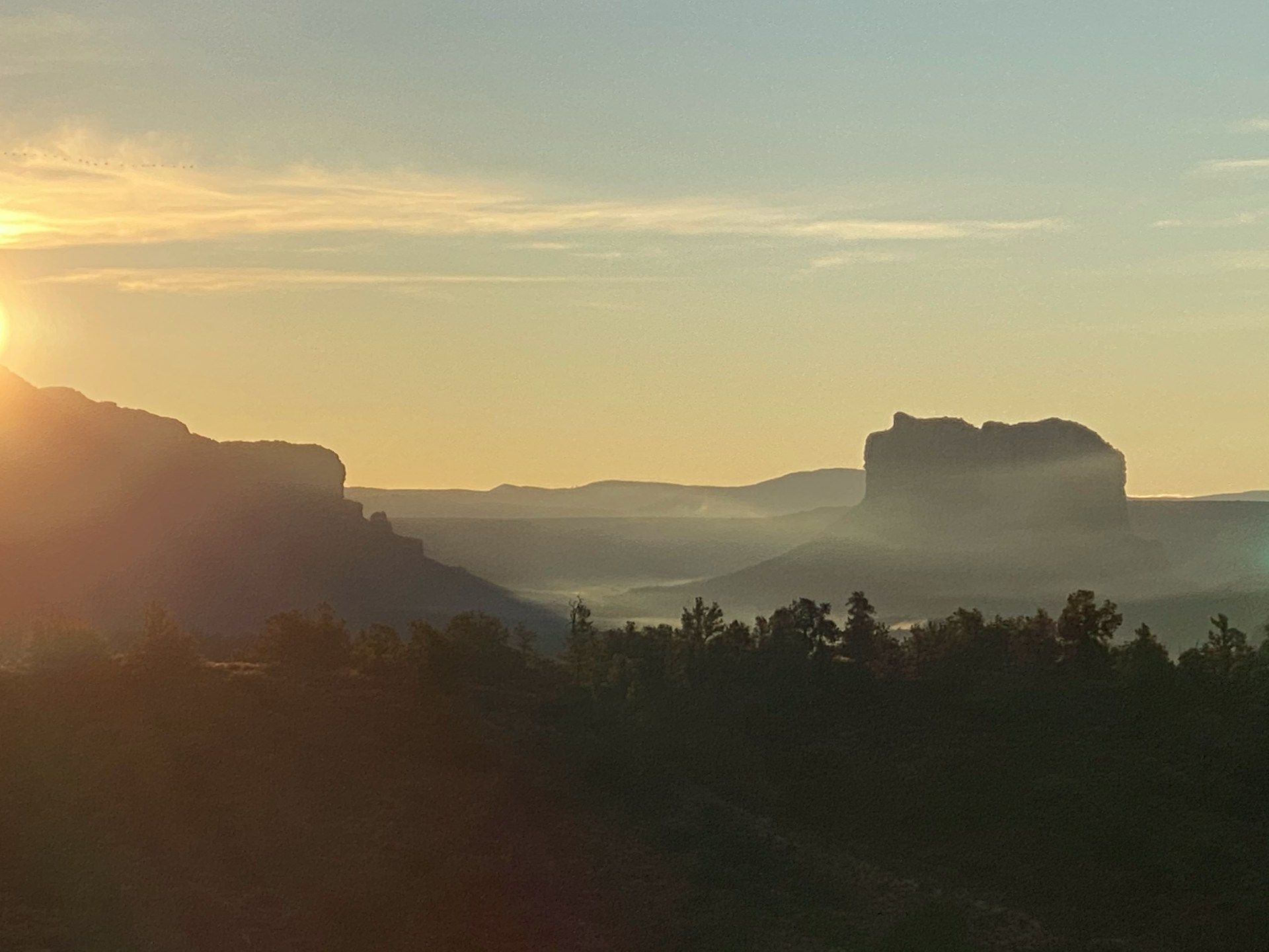 Arizona's Underrated National Forest Is Worth Visiting