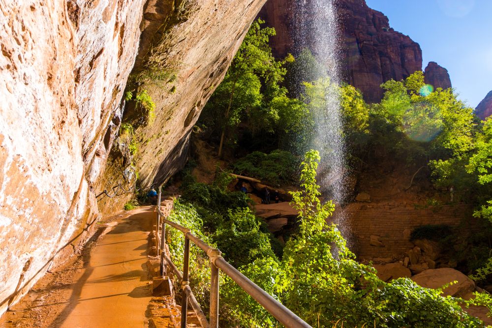 7 Most Popular Zion Hiking Trails, Plus Easier Alternatives