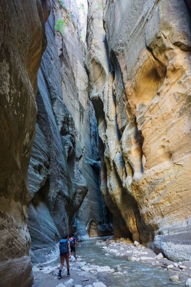 7 Difficult Hikes In Zion National Park