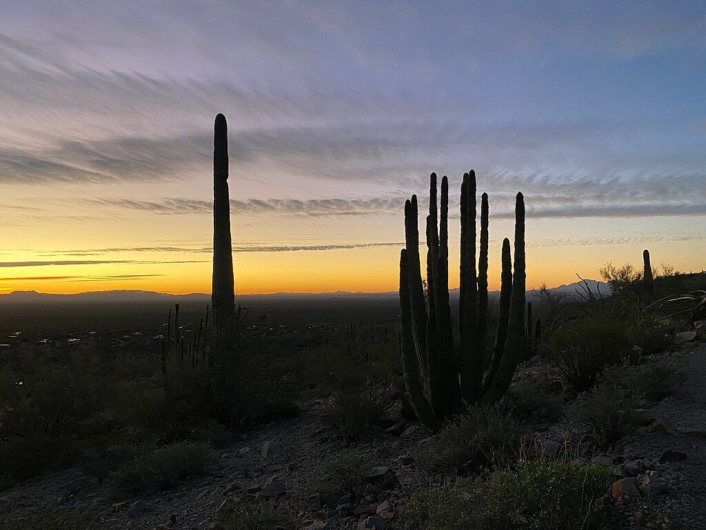 10 Best Camping Areas In Arizona For Peace & Quiet