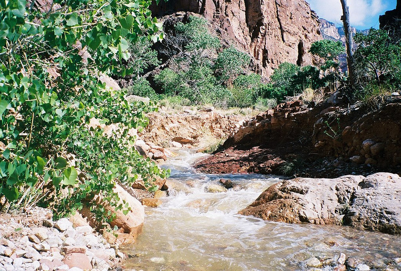 7 Most Popular Zion Hiking Trails, Plus Easier Alternatives