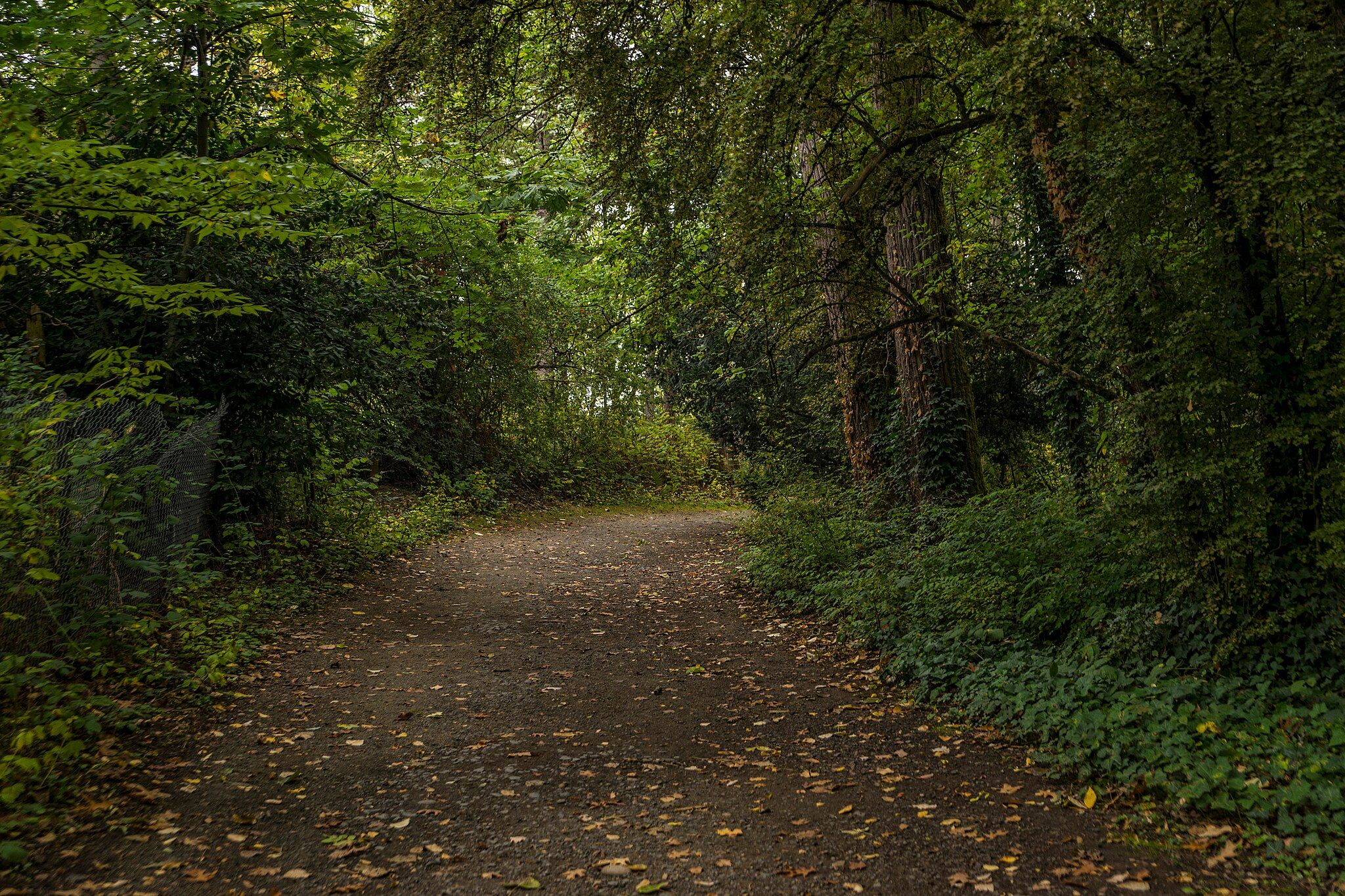 9 Hidden Gem Hikes Within Driving Distance Of Seattle