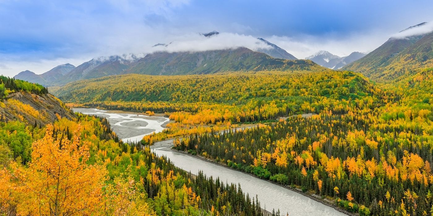 This Area Has More Missing Persons Than The Entire U.S.