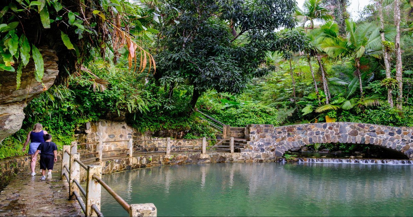 This Is The Only Tropical Rainforest In The US