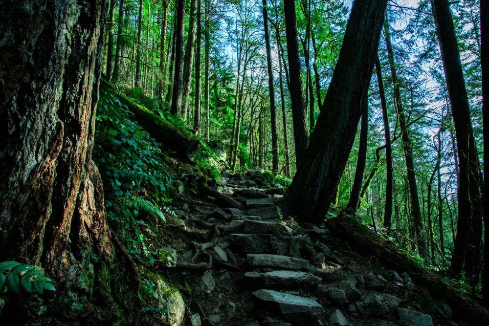 9 Hidden Gem Hikes Within Driving Distance Of Seattle