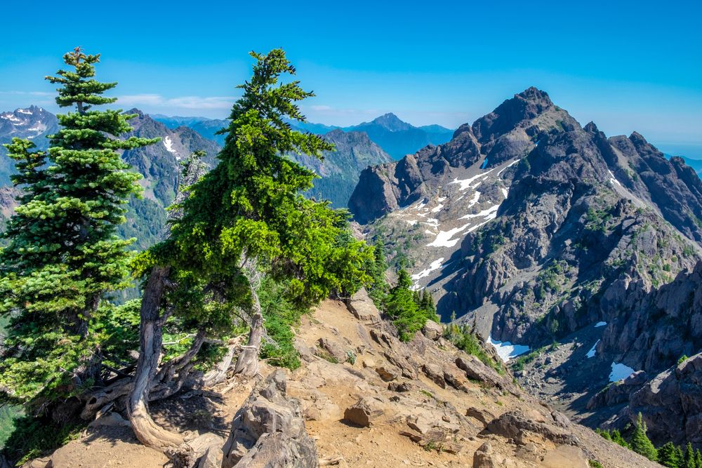 7 Highest Hikes In Washington