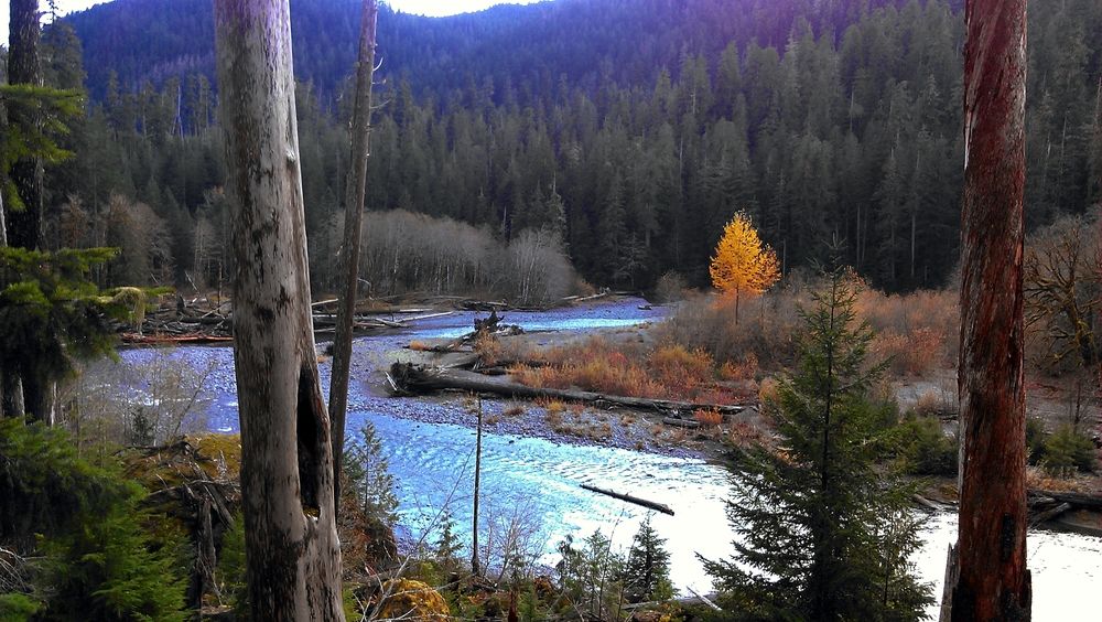 7 Hard Hikes In Olympic National Park
