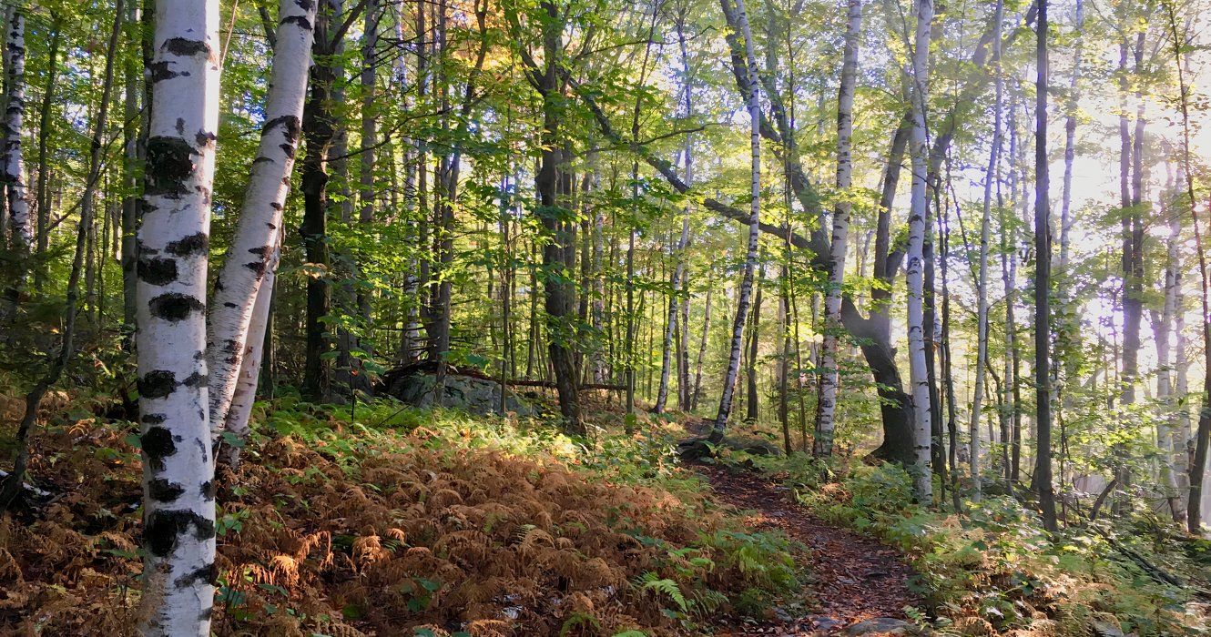 Hikers Have Disappeared Along This Vermont Trail