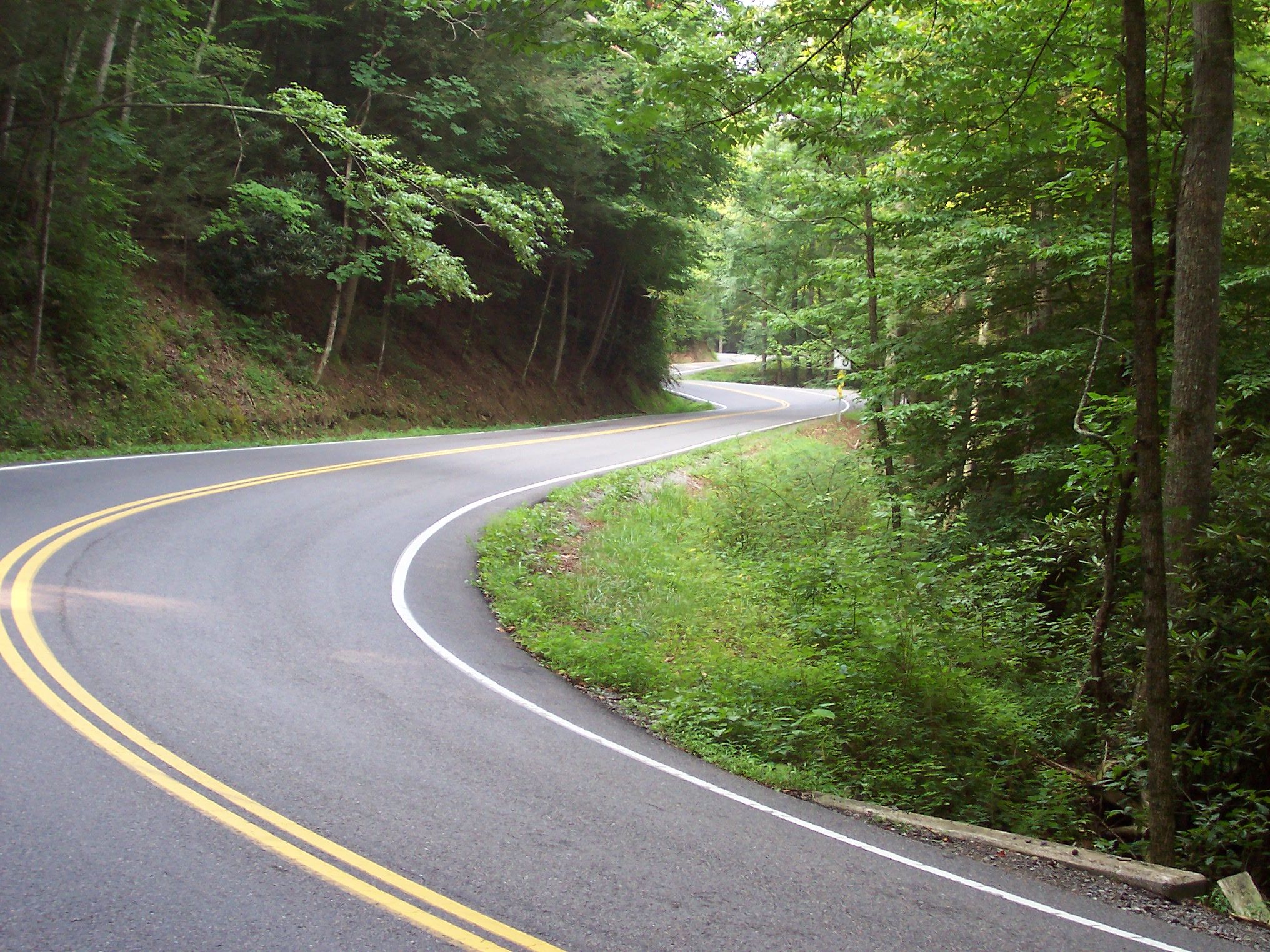 “The Dragon”: What Makes This Tennessee’s Most Dangerous Mountain Road