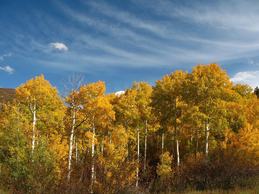 Forget Zion: Visit Utah's True Wilderness Instead