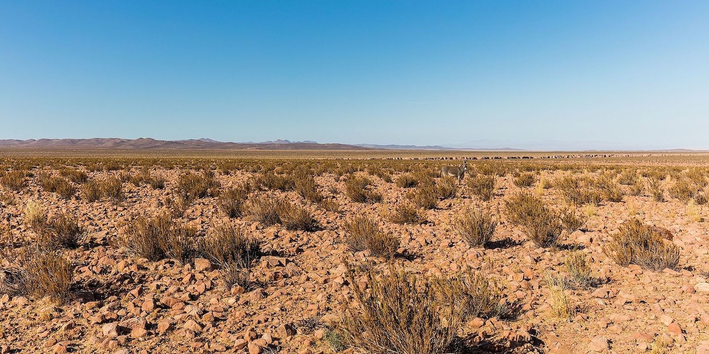Dare You Visit These Places With The World's Most Extreme Weather?