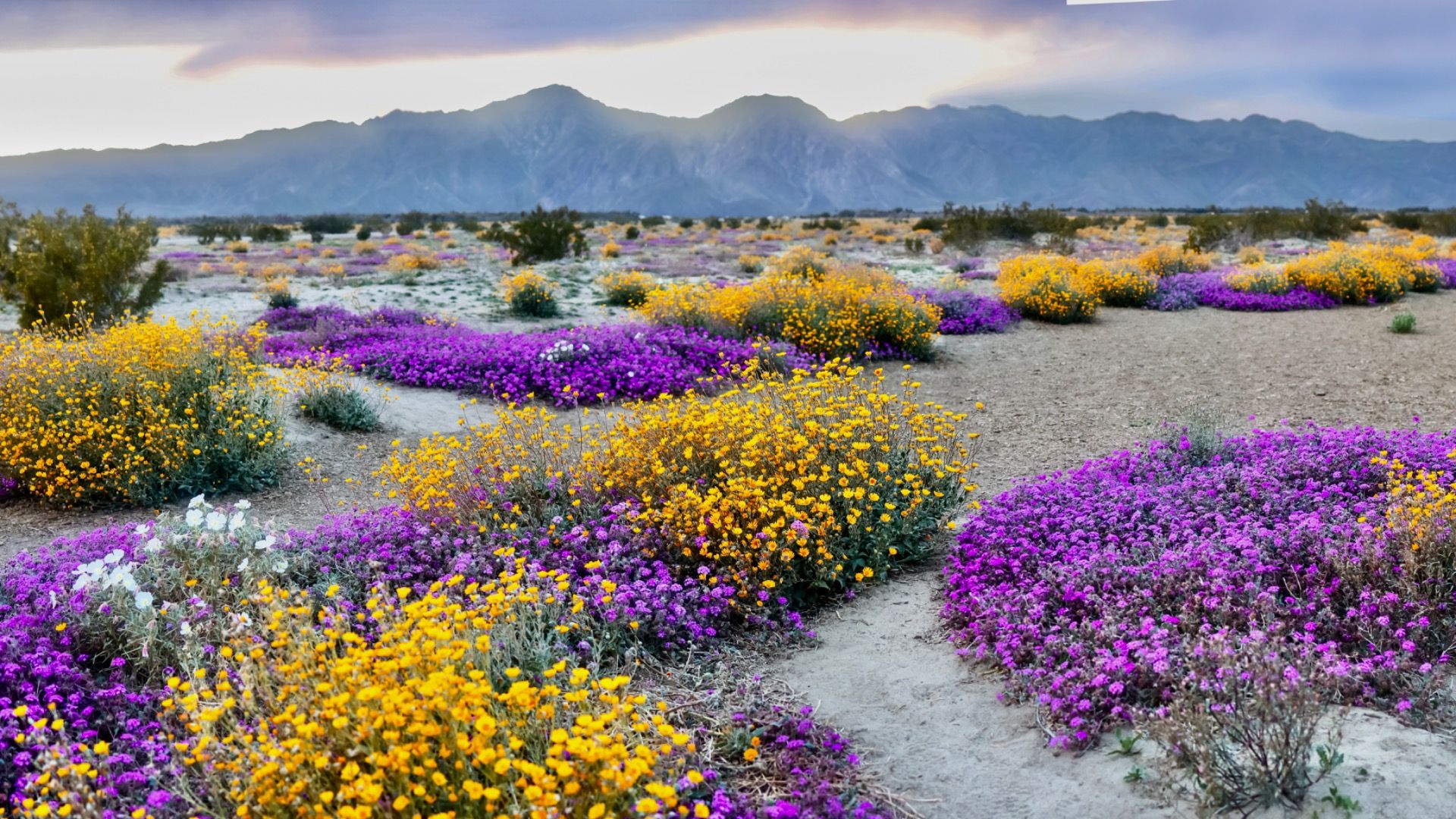Take This Hidden Oasis Hike In California