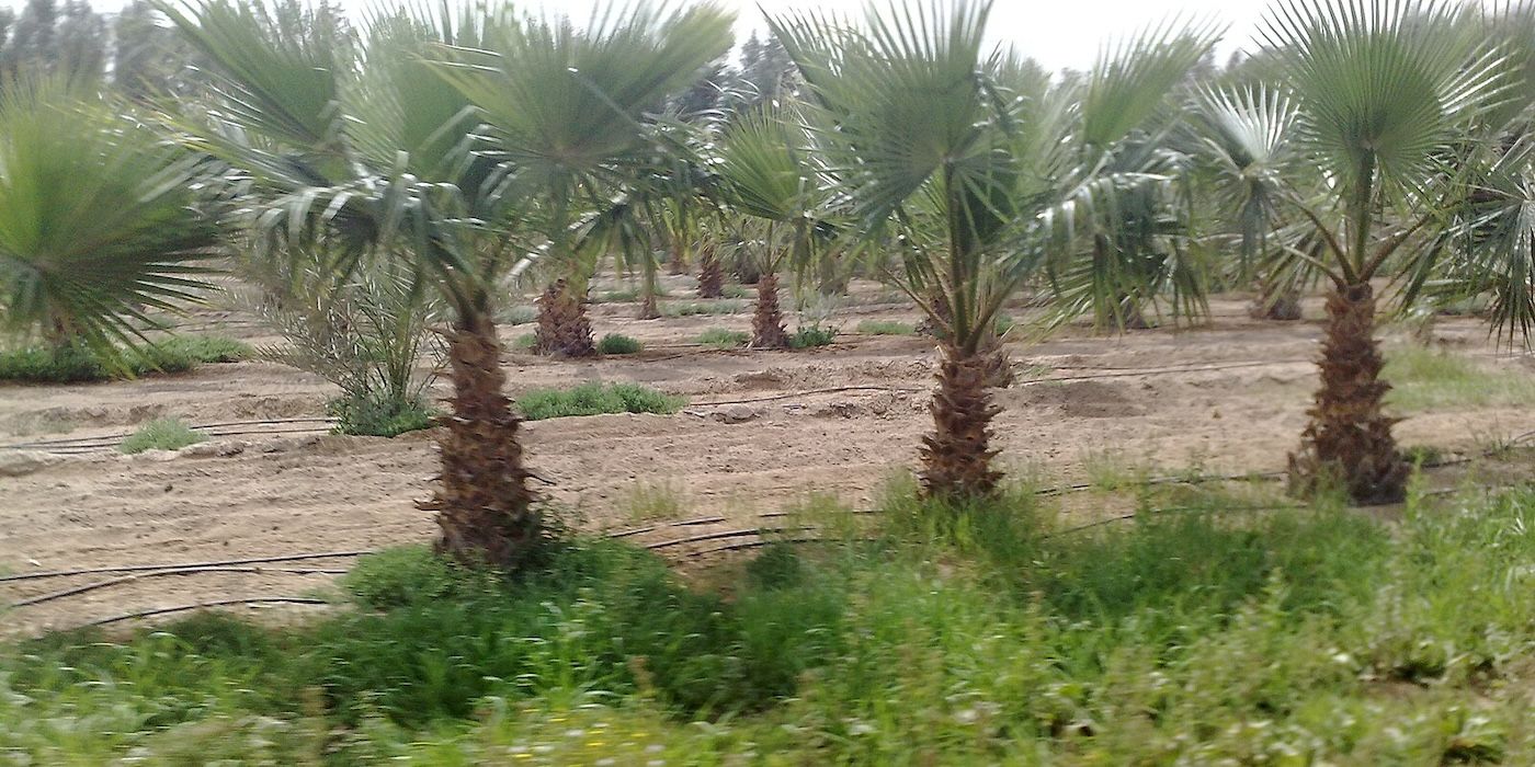 8 Hottest Places On Earth With The Highest Temperatures Ever Recorded