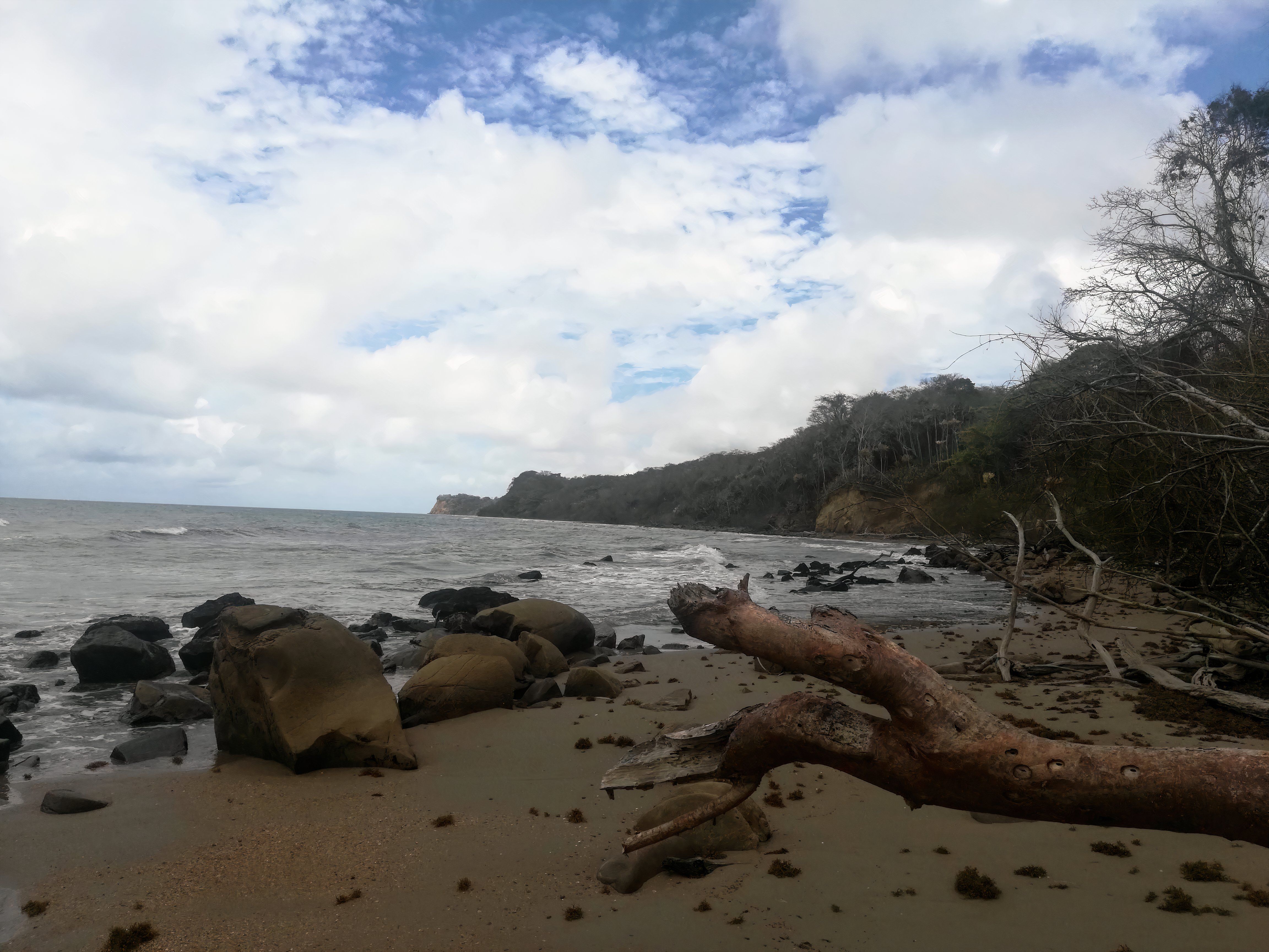 The Top 8 Hikes I've Done in Trinidad