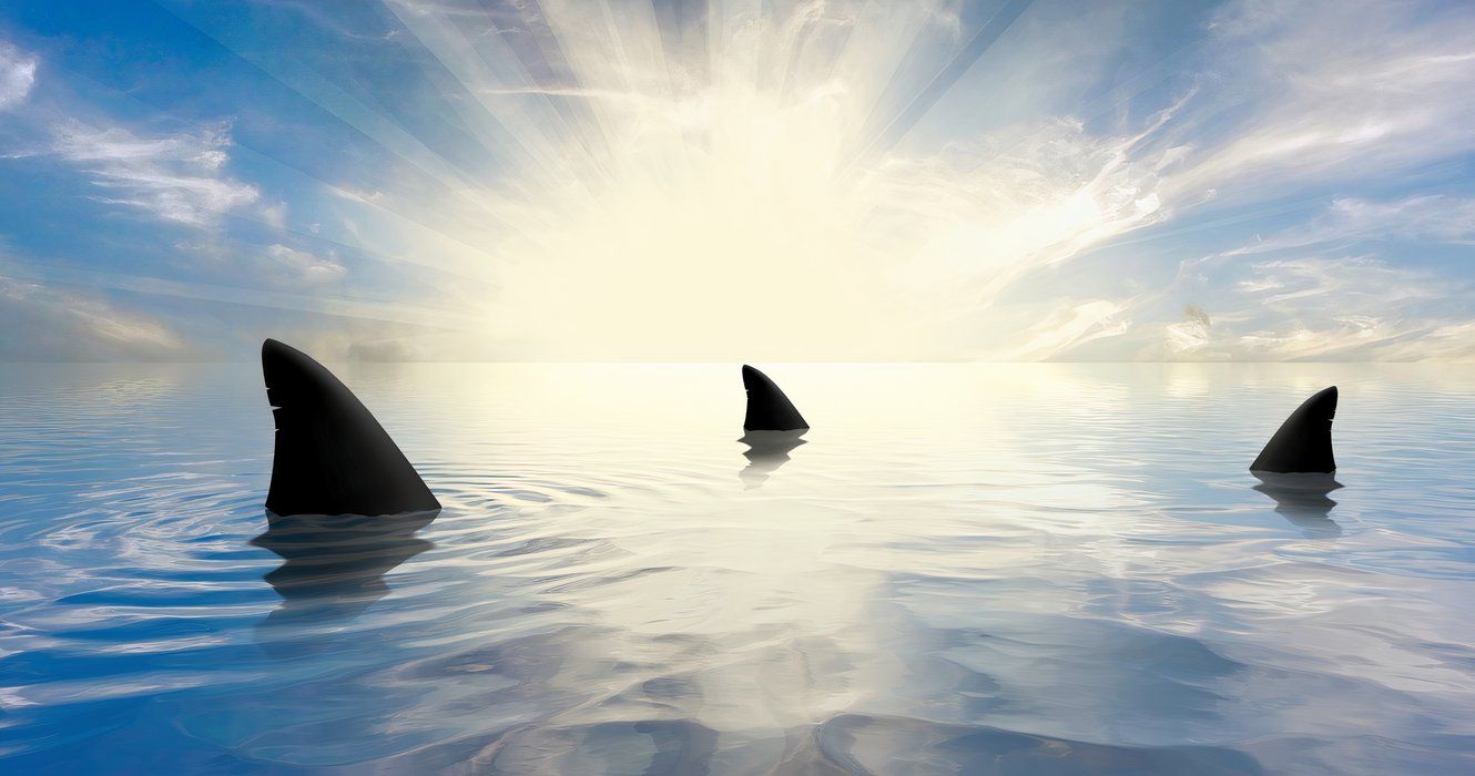 Even These Landlocked States Aren't Safe From Shark Attacks