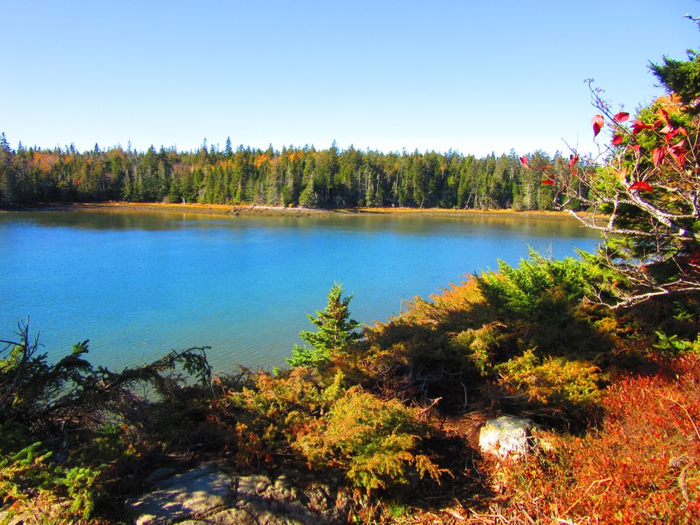 7 Hikes In Acadia National Park That Feel More Like Oregon's Coast