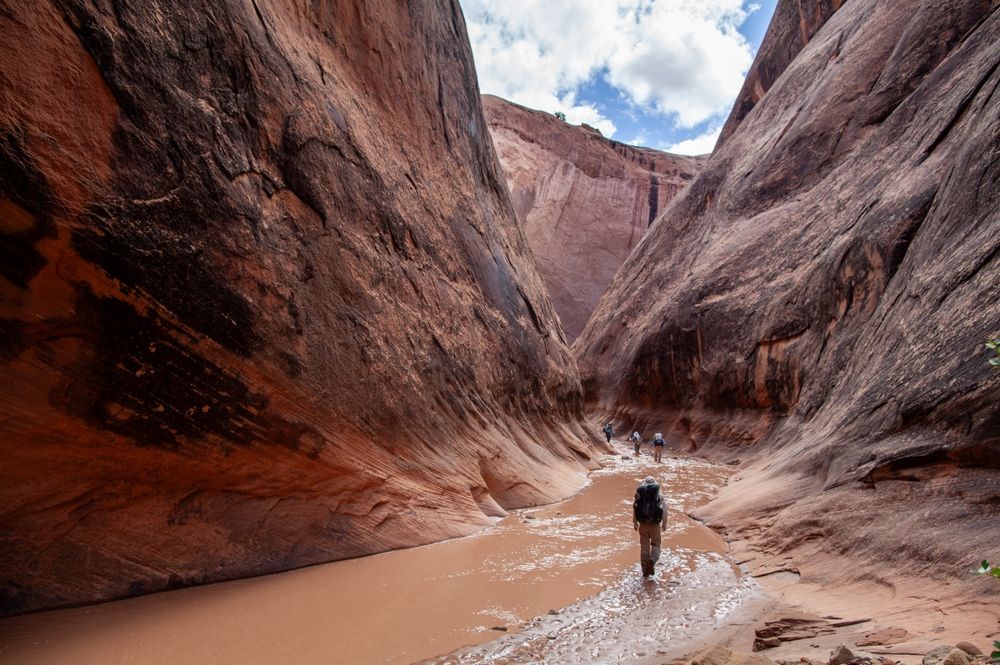 Skip Zion's Angels Landing For These 7 Underrated Canyon Hikes