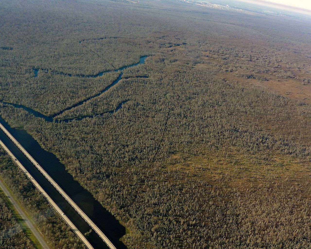 7 Bayou Hikes That Are More Scenic Than Swampy