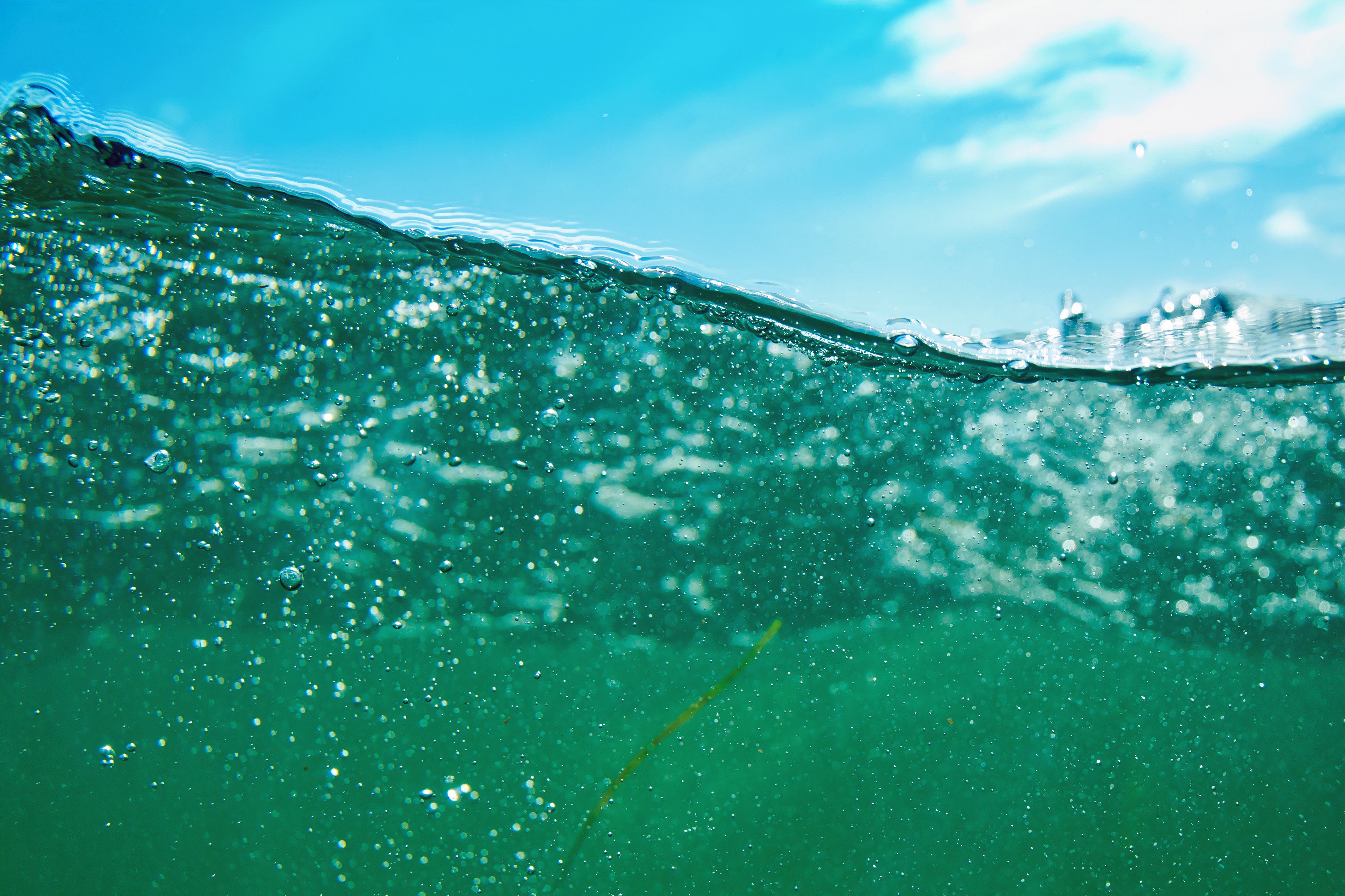 8 Strangest Things Found In The Deep Sea