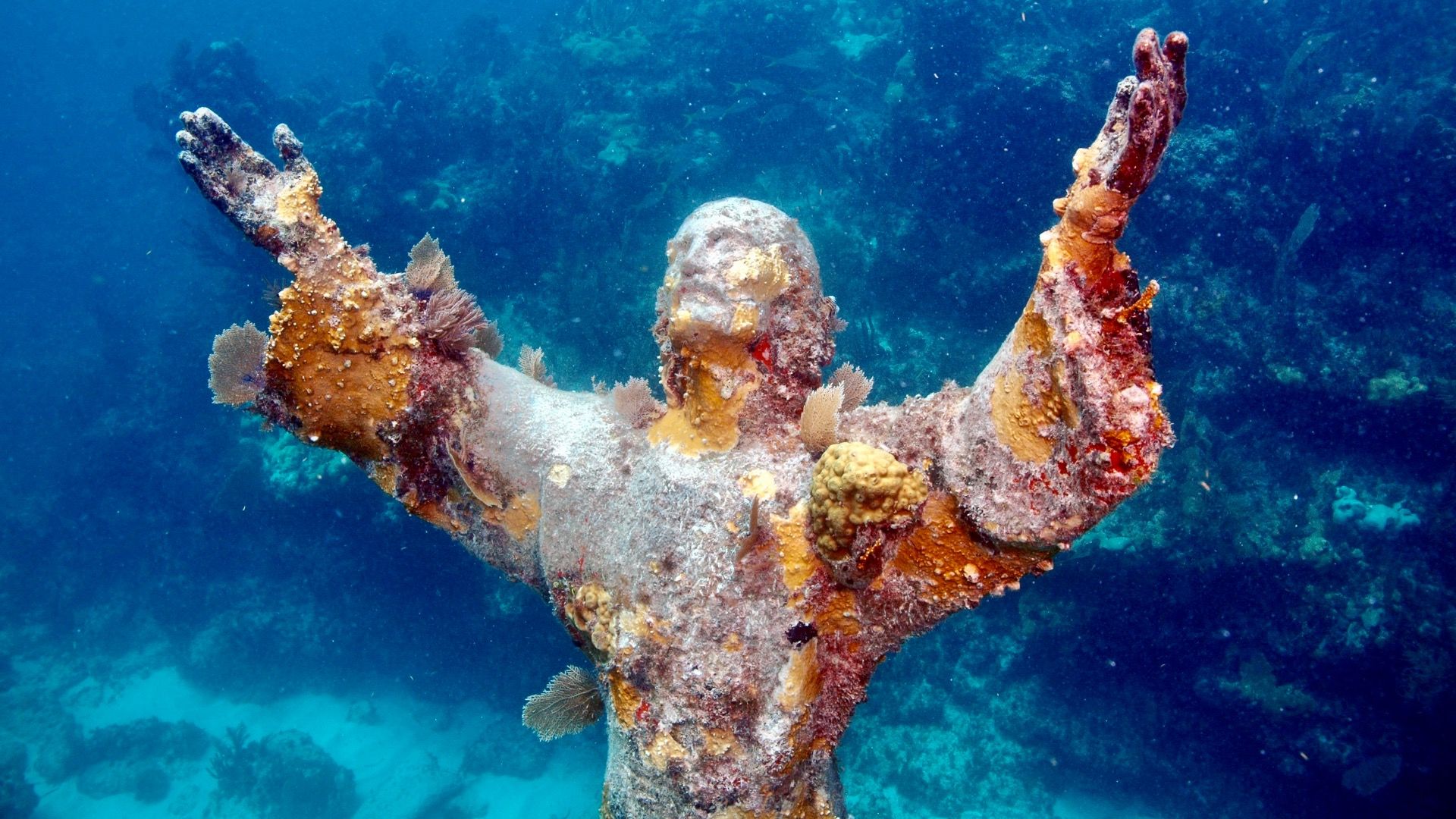 Hidden Scuba Gems: Here's How Florida Performs