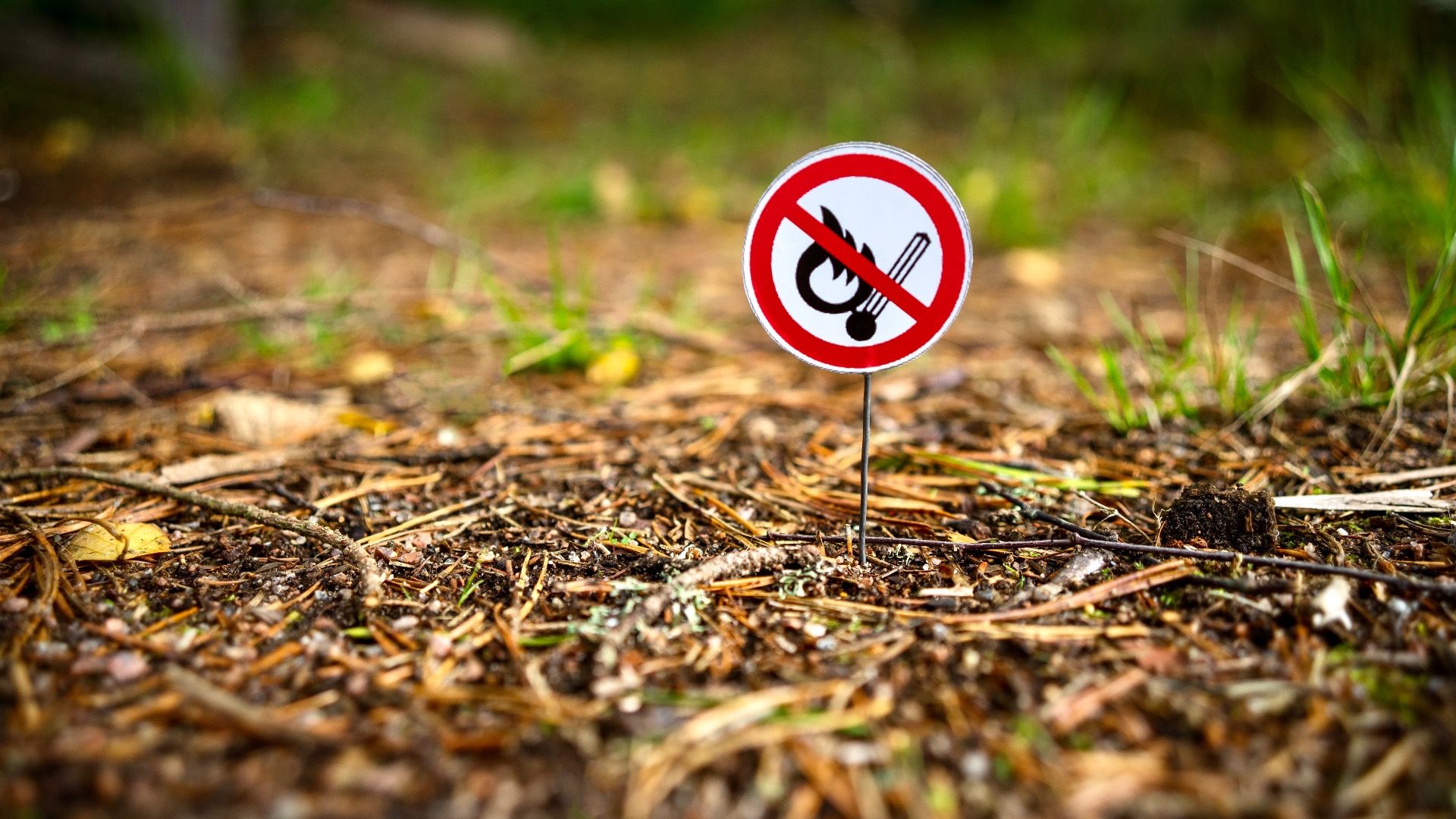 State Parks Ban Campfires: What To Do As An Alternative