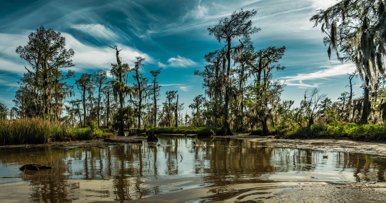 This Swamp Is The Most Haunted Place In New Orleans