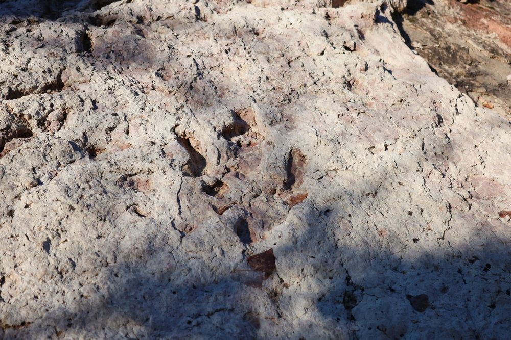 7 Strangest Things Ever Found In Zion National Park