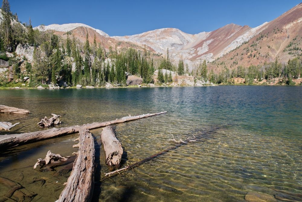 7 Steepest Hikes With The Most Elevation Gain In Oregon
