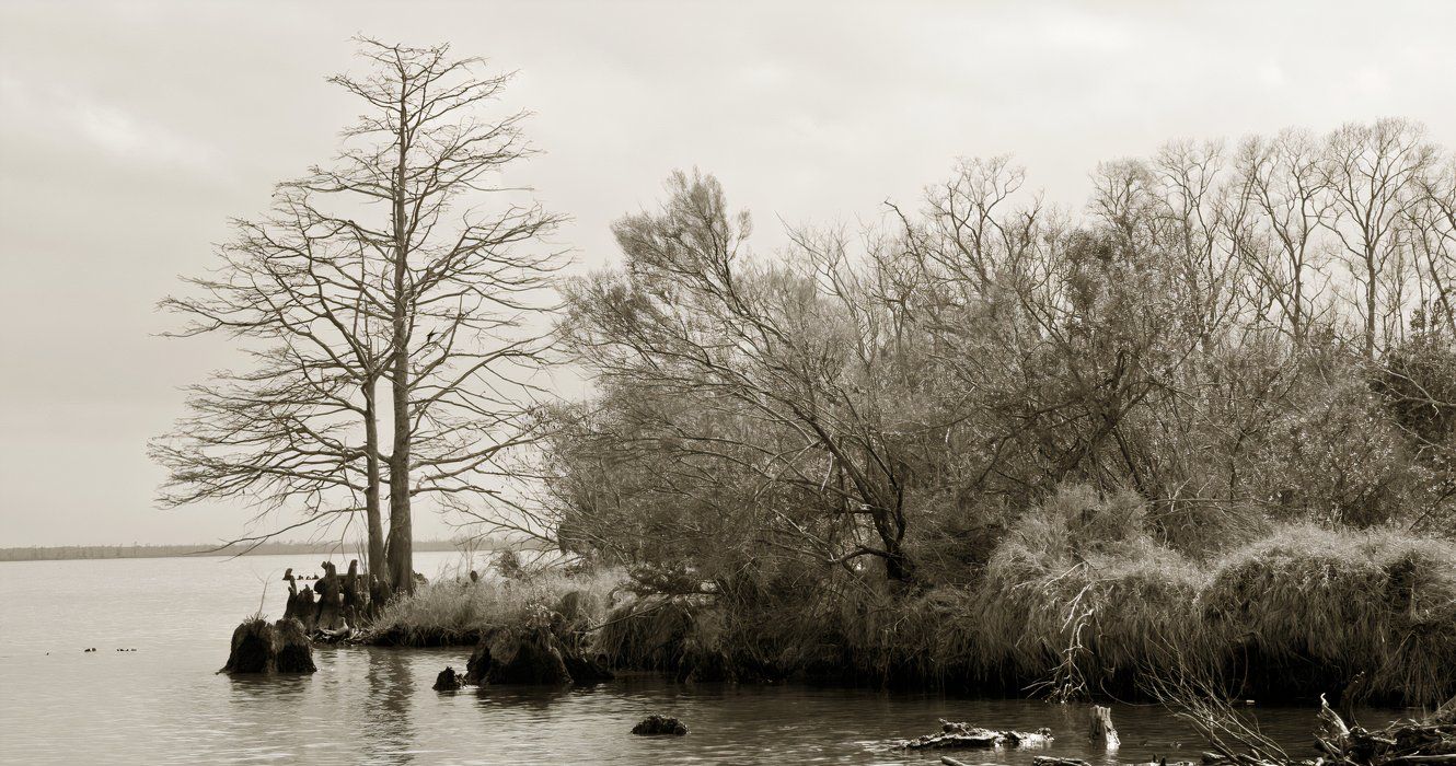 This Swamp Is The Most Haunted Place In New Orleans