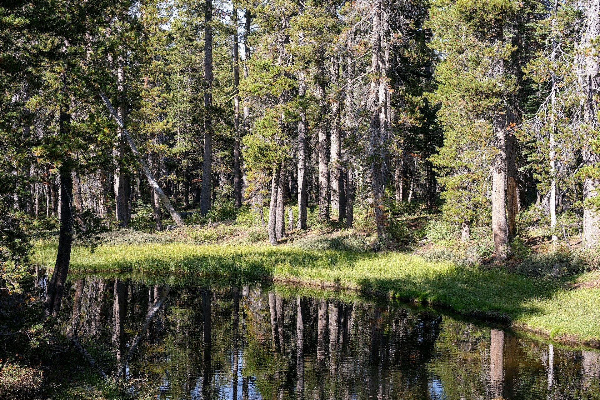 9 Parks And Forests To Explore In The Sierra Nevada Mountains