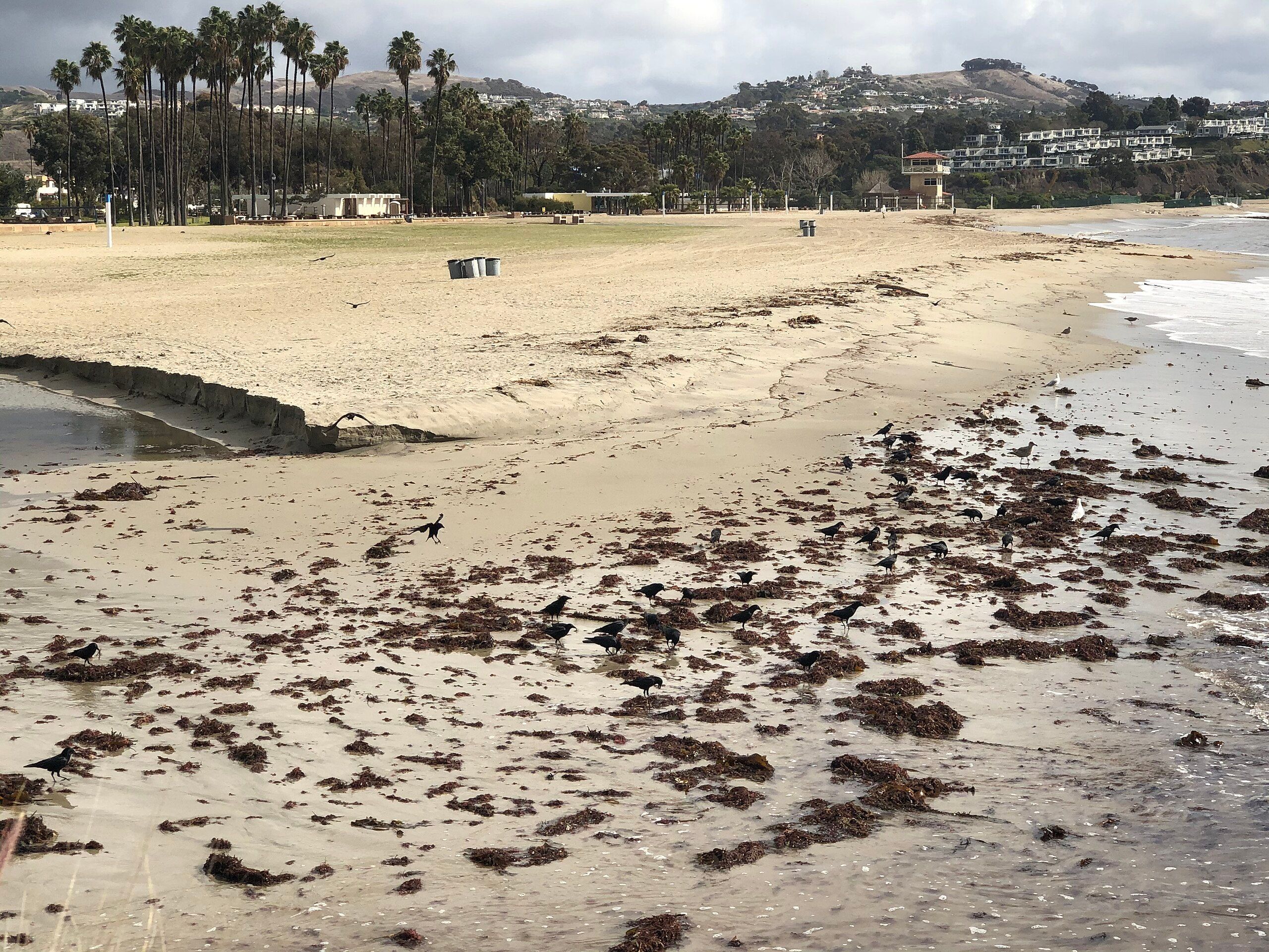 8 Contaminated Beaches To Avoid In California