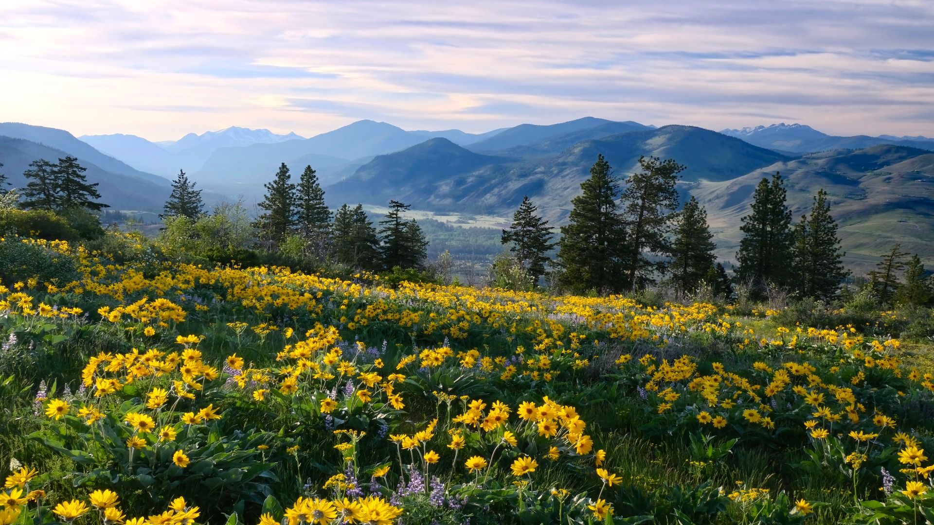 7 Best Small Towns In Washington For A Weekend Retreat