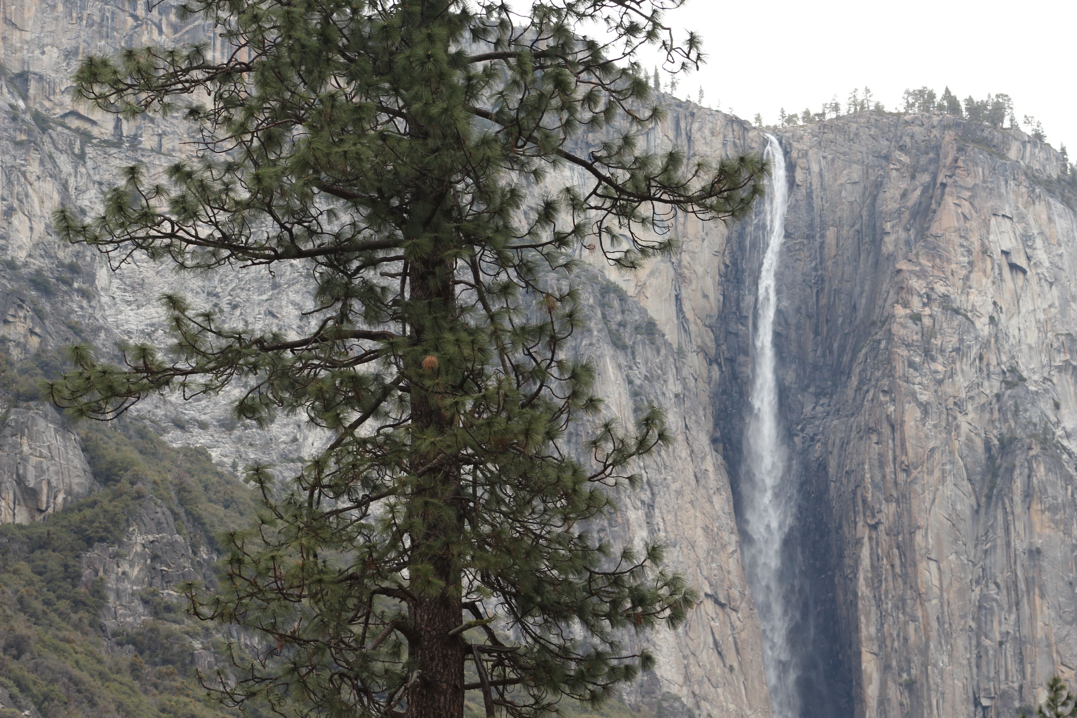7 State Parks With Yosemite Vibes, But Better