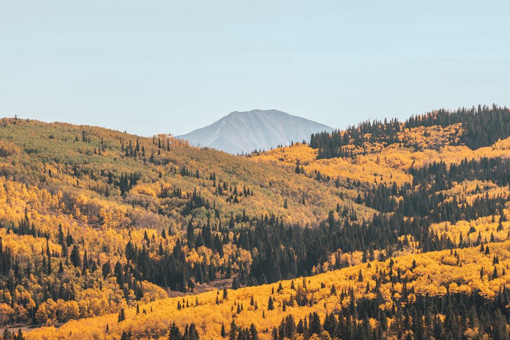 See California & Colorado's Best Fall Foliage On This Scenic Amtrak Train