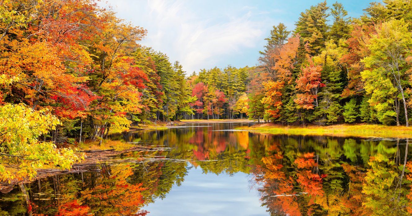 November Leaves Early November Foliage Is Brightest In Coastal New