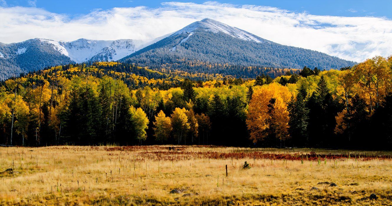 The Surprising Arizona City Where You Can See Epic Fall Colors