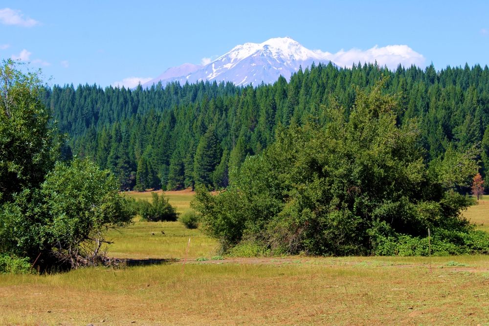 7 Inviting Mountain Towns In California To Retire