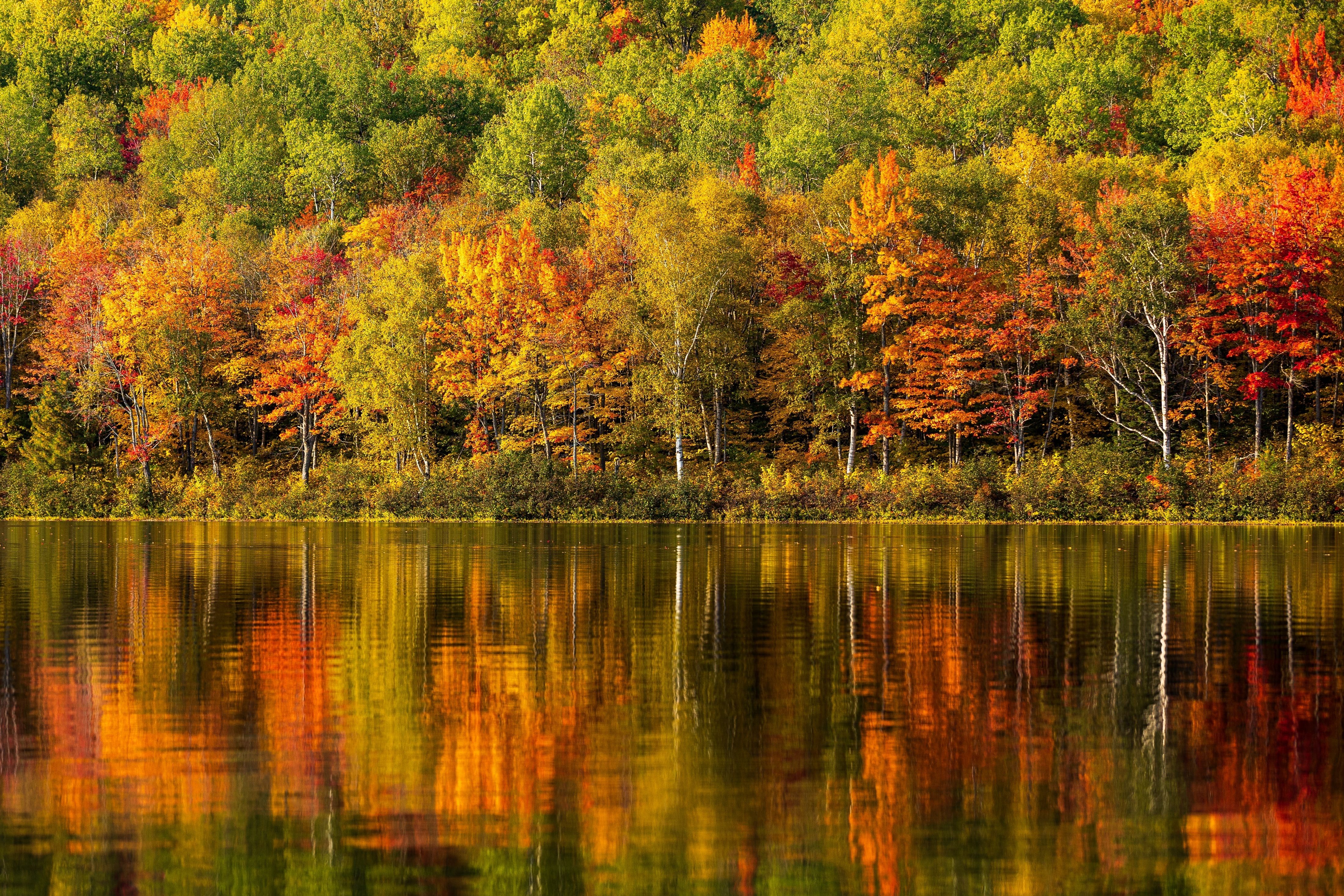 8 Best Fall Foliage Hikes In Maine In 2024