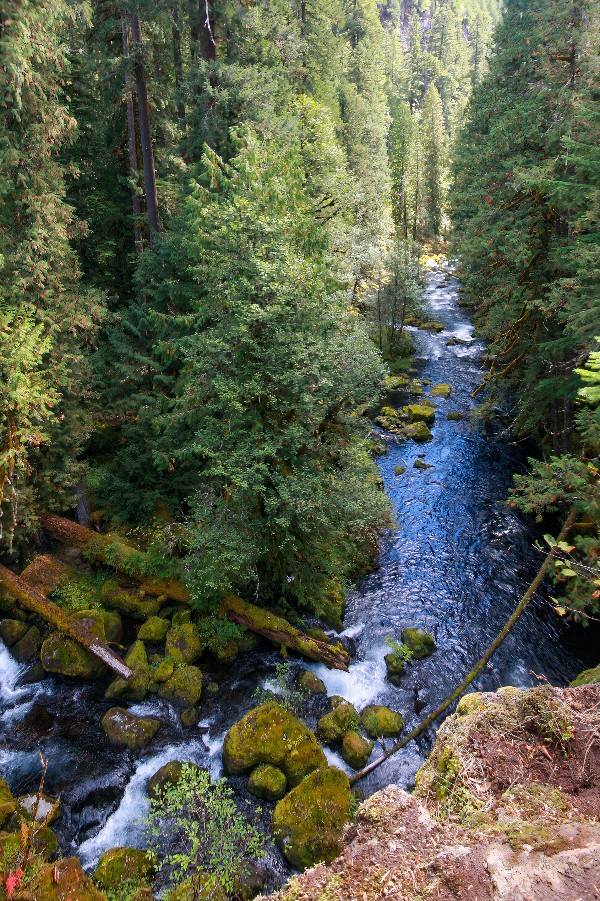 8 Best Fall Foliage Hikes In Oregon In 2024