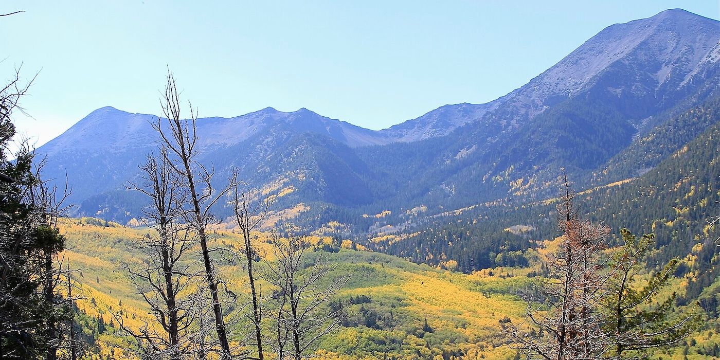 8 National Forests That Rival Zion National Park