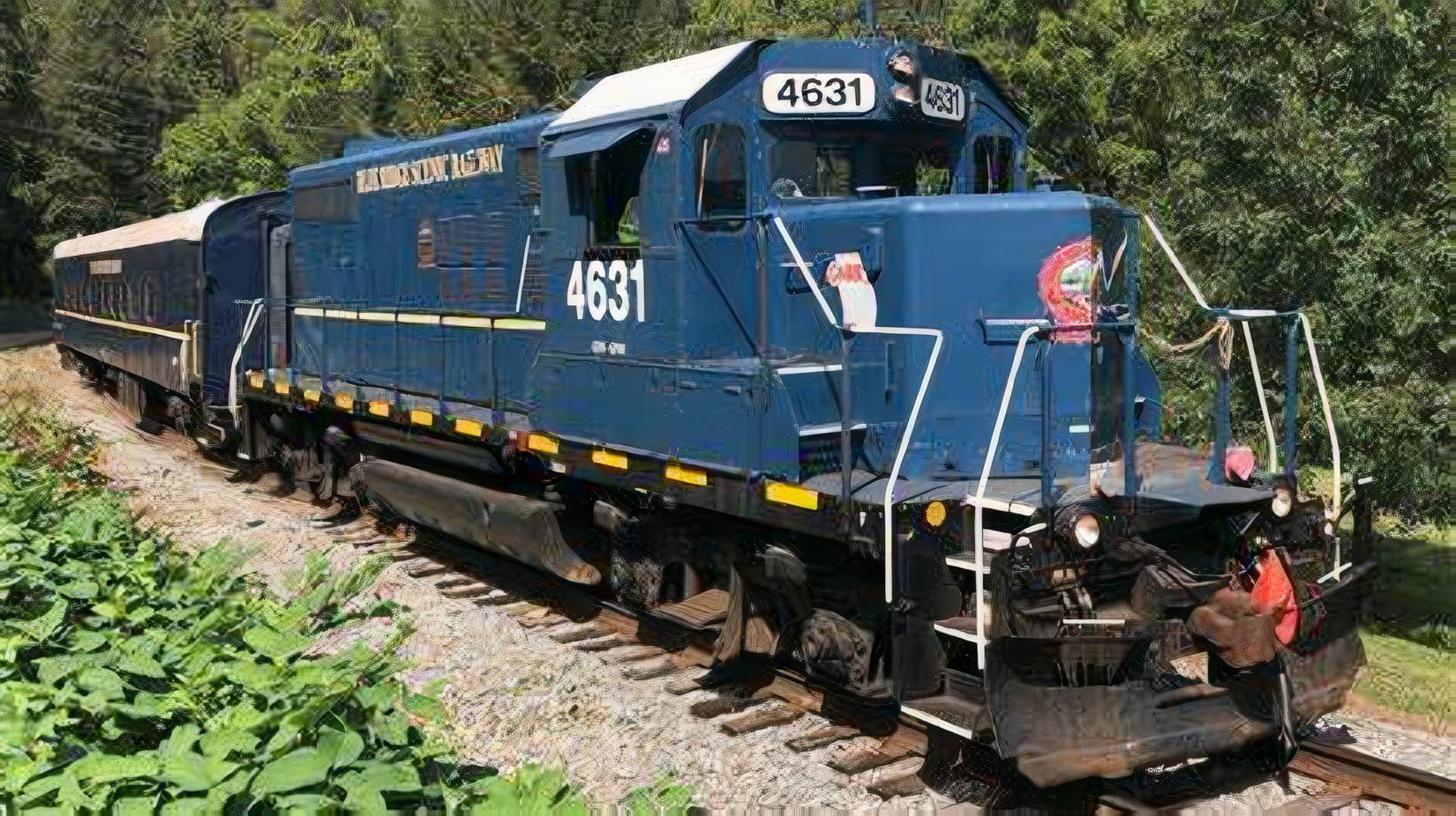 See The Blue Ridge By Train In Georgia This Fall
