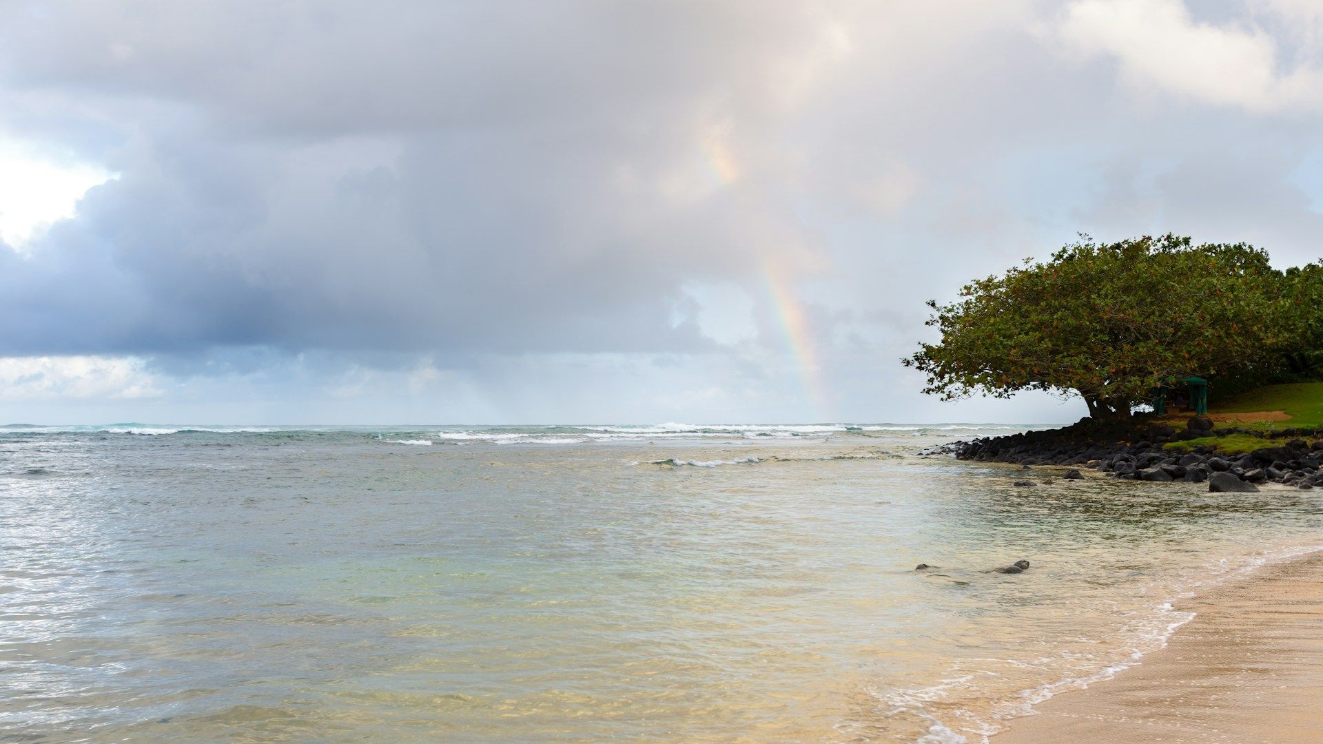 8 Of America's Wettest States Get Over 4.5 Feet Of Rain
