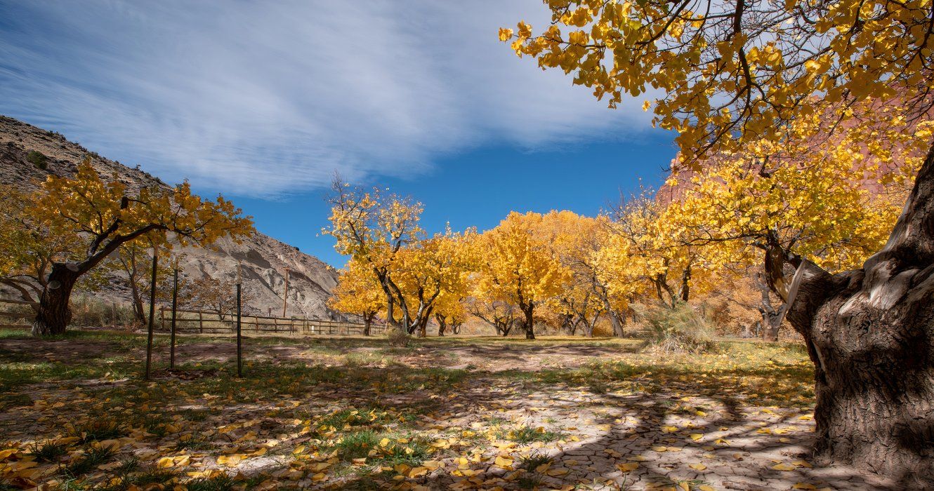 This Underrated State Park Has The Best Fall Foliage In Arizona