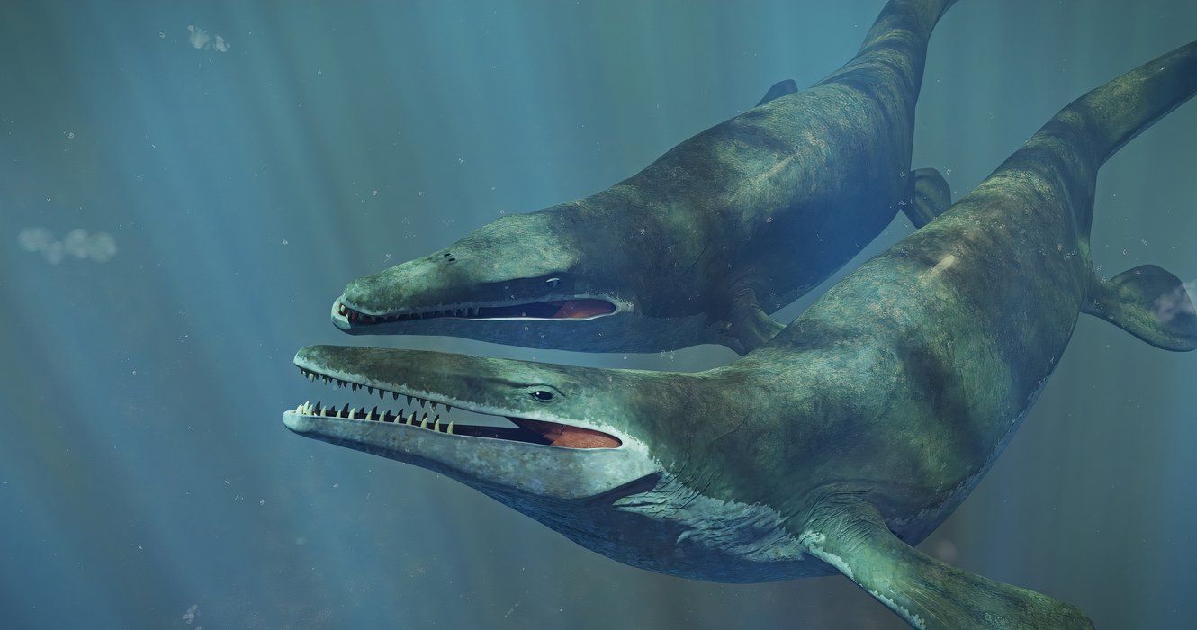 Rare 80 Million-Year-Old Fossils Of Giant Apex Predator Found In Texas