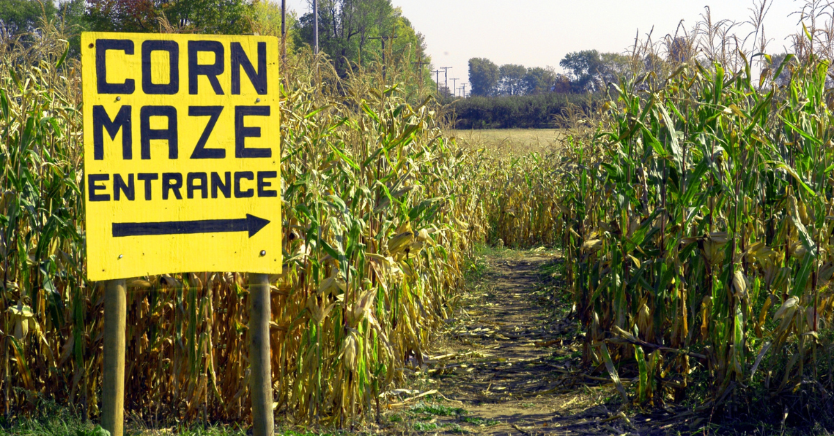 A Corn Maze In Michigan Turned Into A Nightmare After 3-Year-Old Boy Went Missing