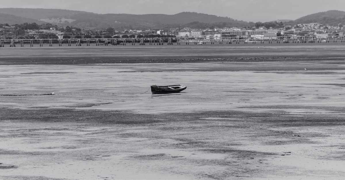 Emotional Footage Shows The US Coast Guard Saving A Man And His Dog On ...