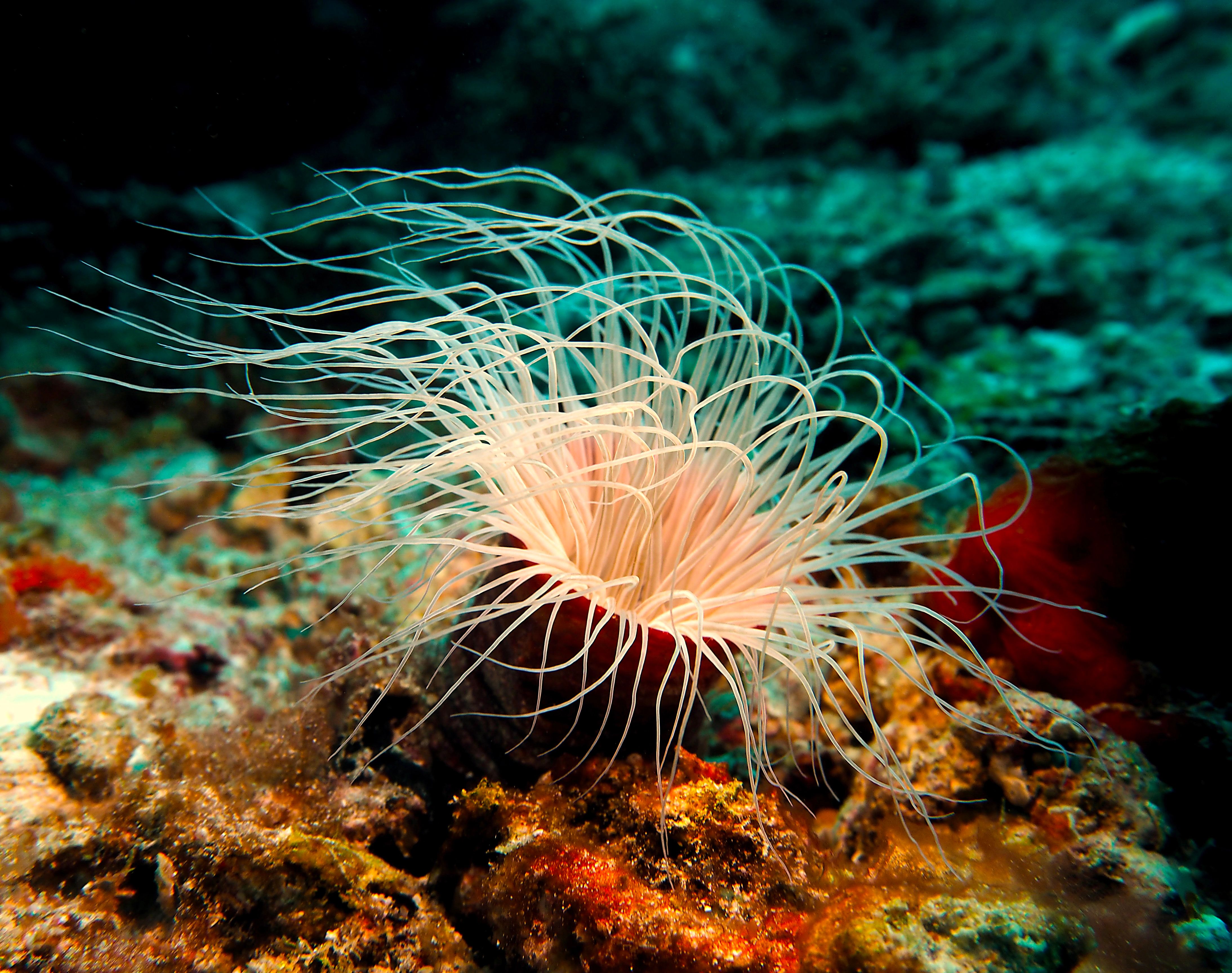 9 White Sand Beaches That Florida Is Well Known For