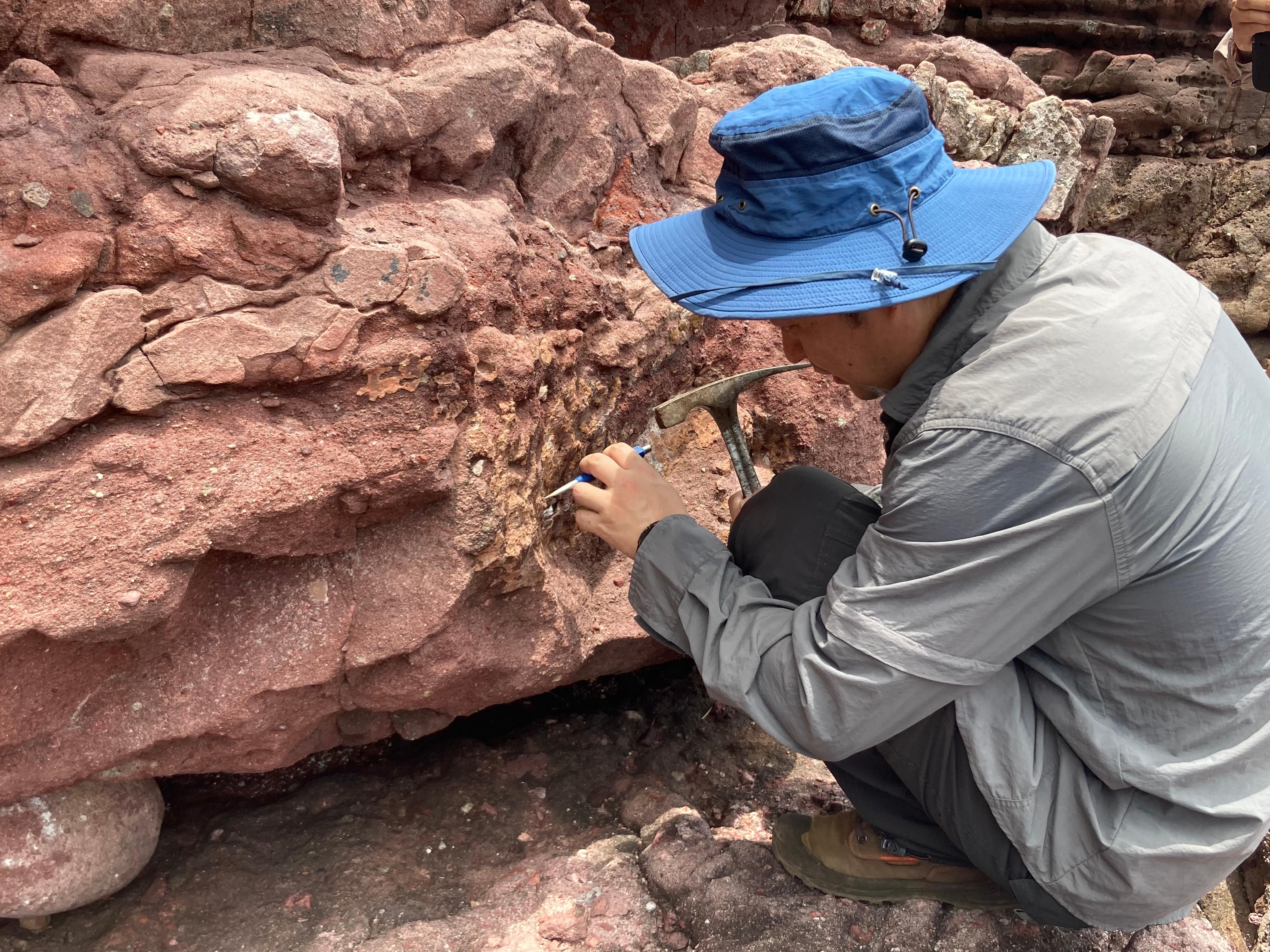 Landmark Discovery: Dinosaur Fossils Discovered in Hong Kong for First ...