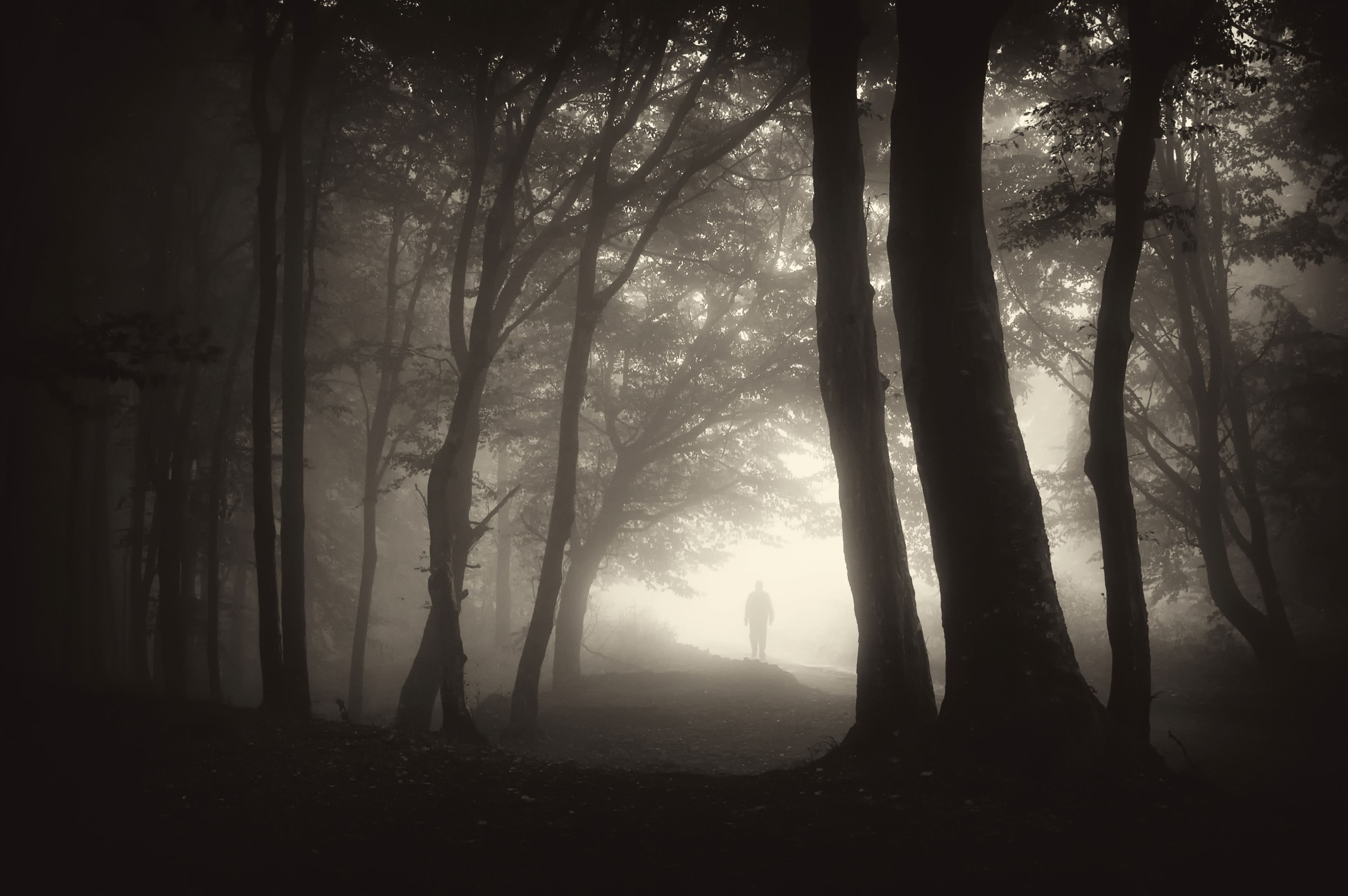 Do Feral Folk Really Live In America's National Parks?