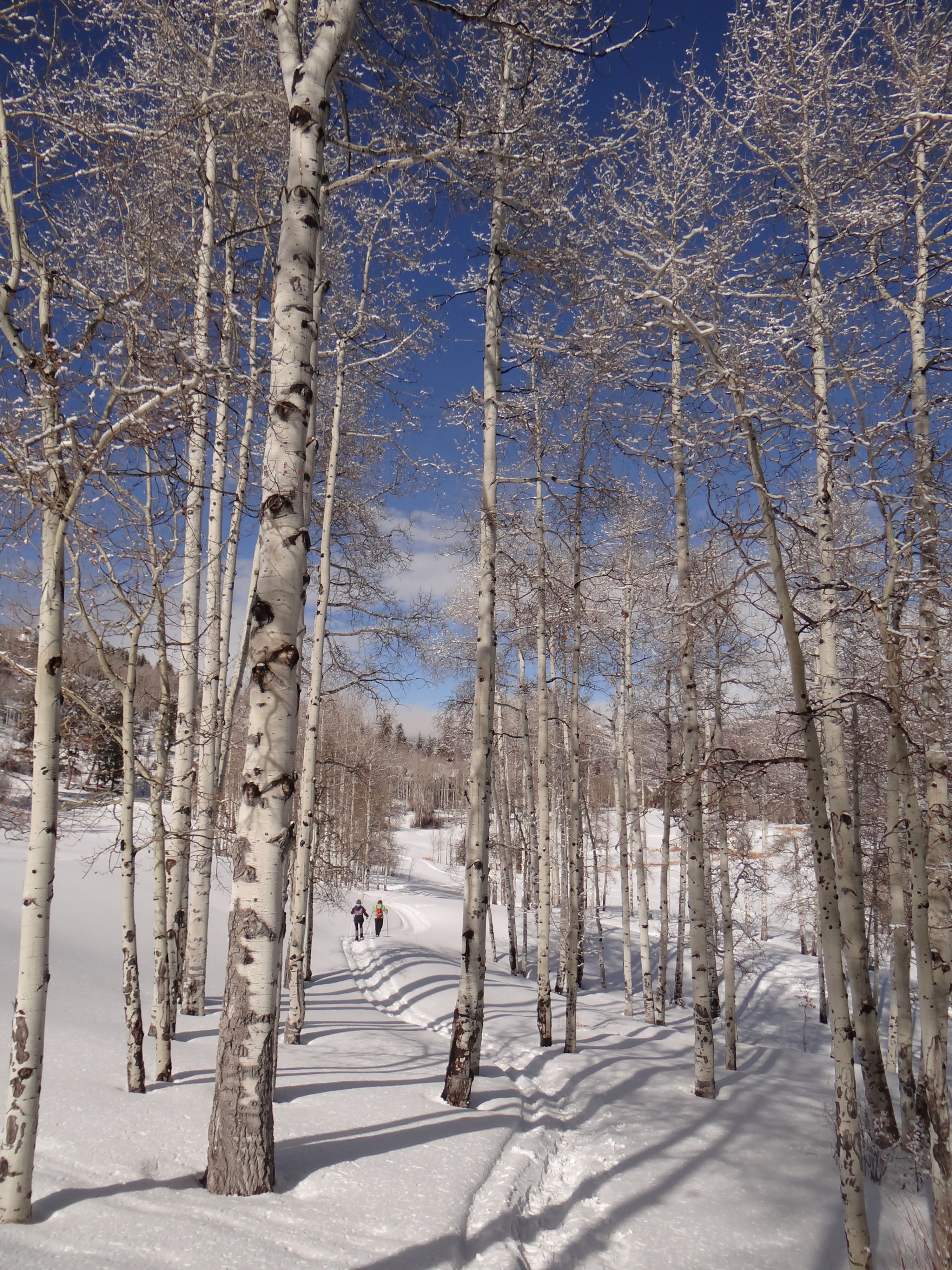 The "Switzerland Of The Rockies" Is America's Best Ski Resort